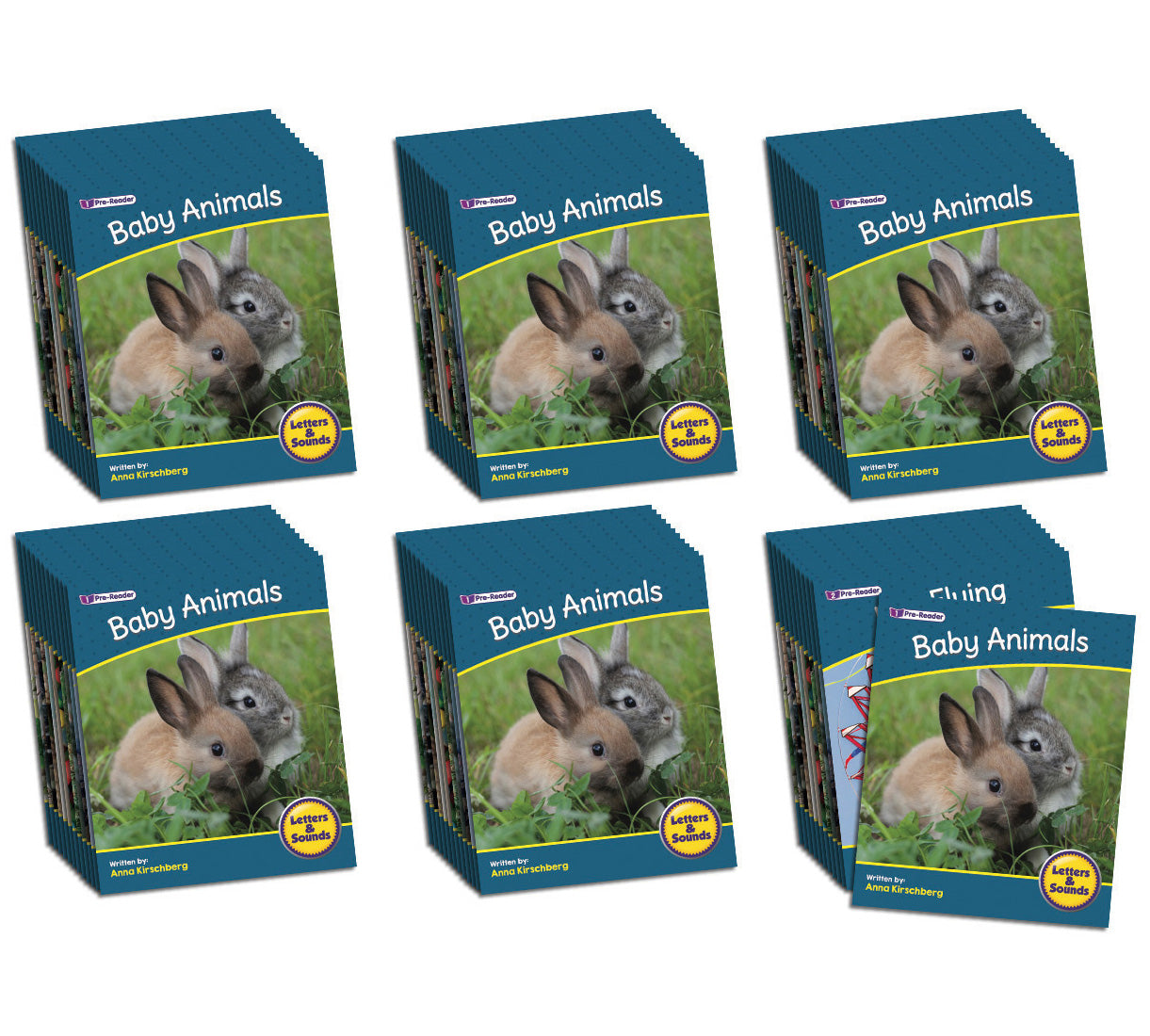 Decodable Readers Non Fiction Set 2 Phase 1: Phonemic Awareness